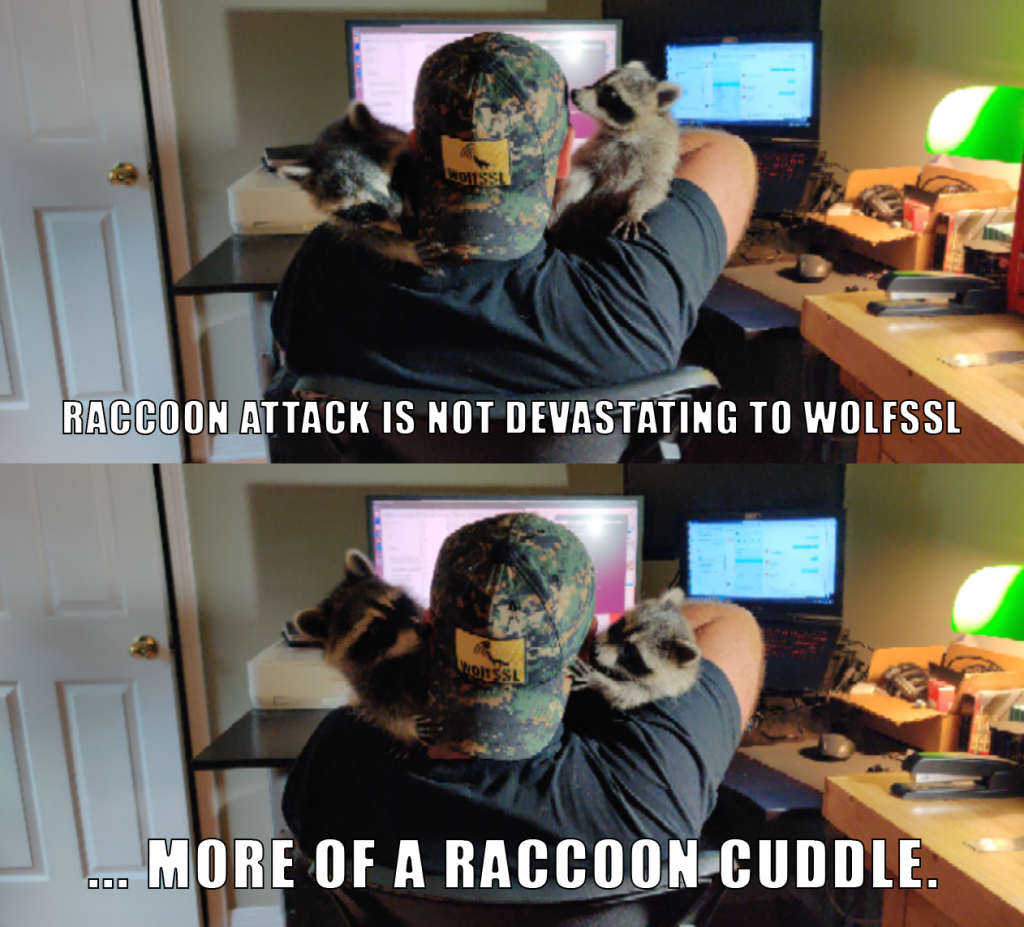Raccoon Attacks – wolfSSL