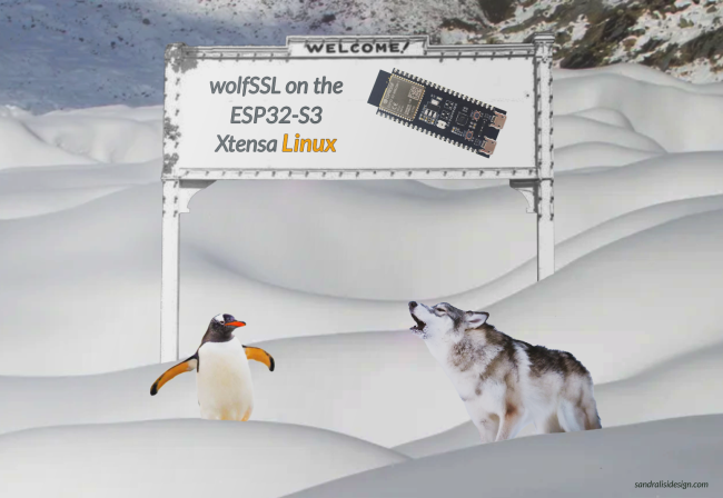 Wolfssl On The Xtensa Esp32 S3 Linux Wolfssl