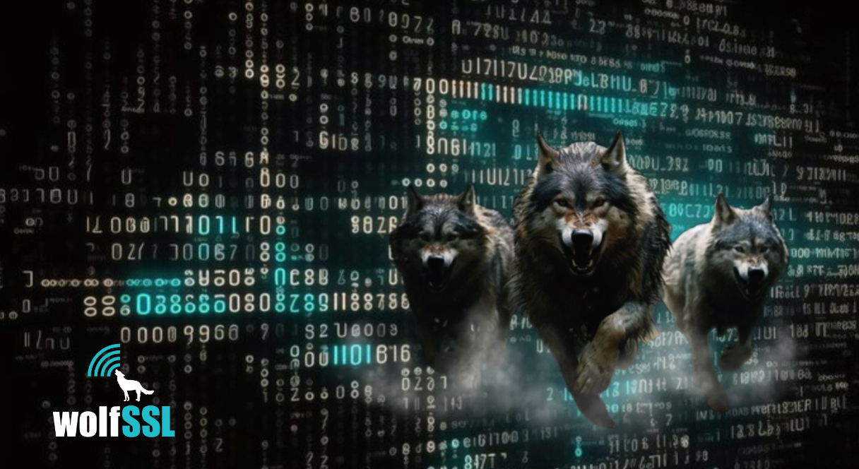 Thumb2 Gets Assembly Code for AES and SHA-2 Algorithms in WolfSSL 5.6.4 – wolfSSL