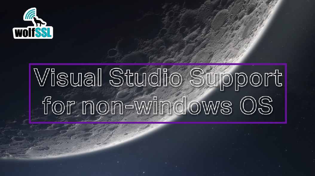 Visual Studio Support for Non-Windows OS in wolfSSL - wolfSSL
